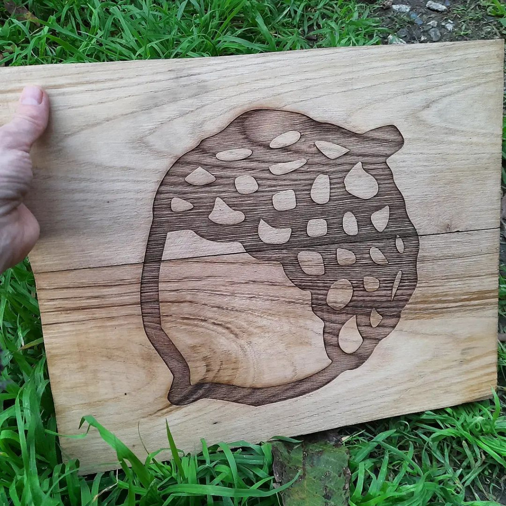 Inici - Fet a Montseny